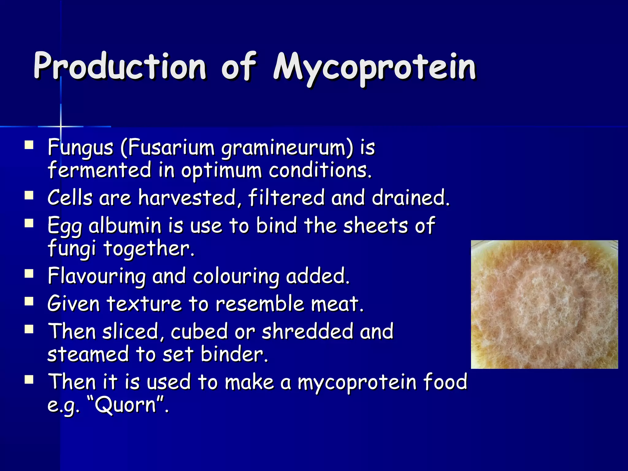 Alternative protein foods 2 | PPT