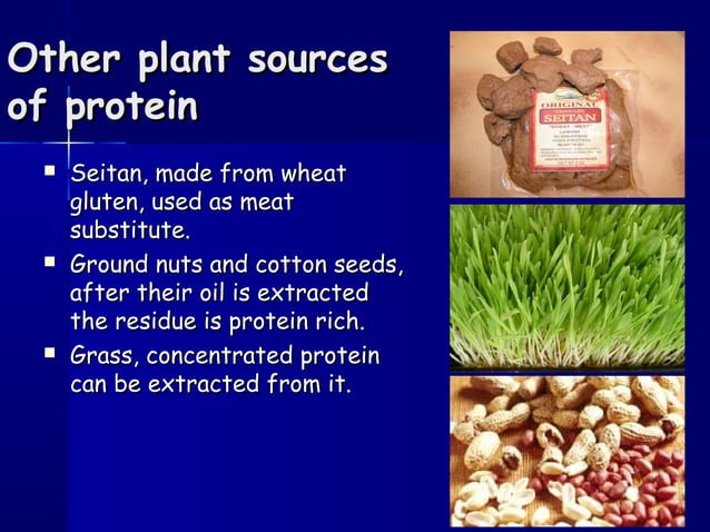 Alternative protein foods 2 | PPT