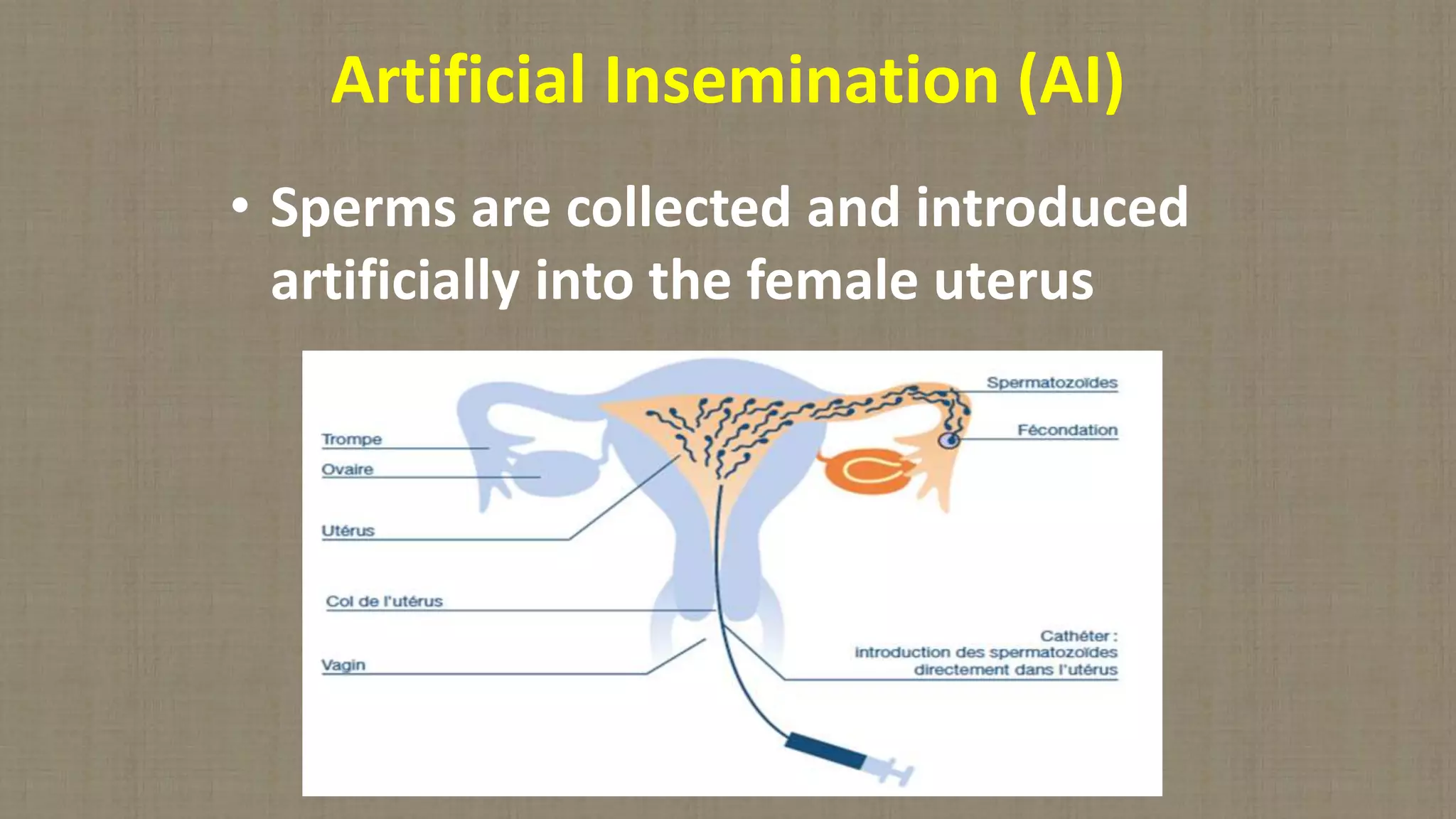 Alternative reproductive | PPT