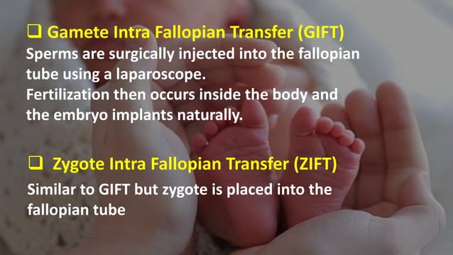 Alternative reproductive | PPT