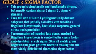 alternative sigma factor .pdf