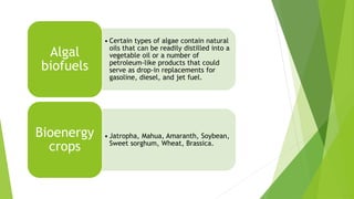 Alternative sources of green energy | PPTX