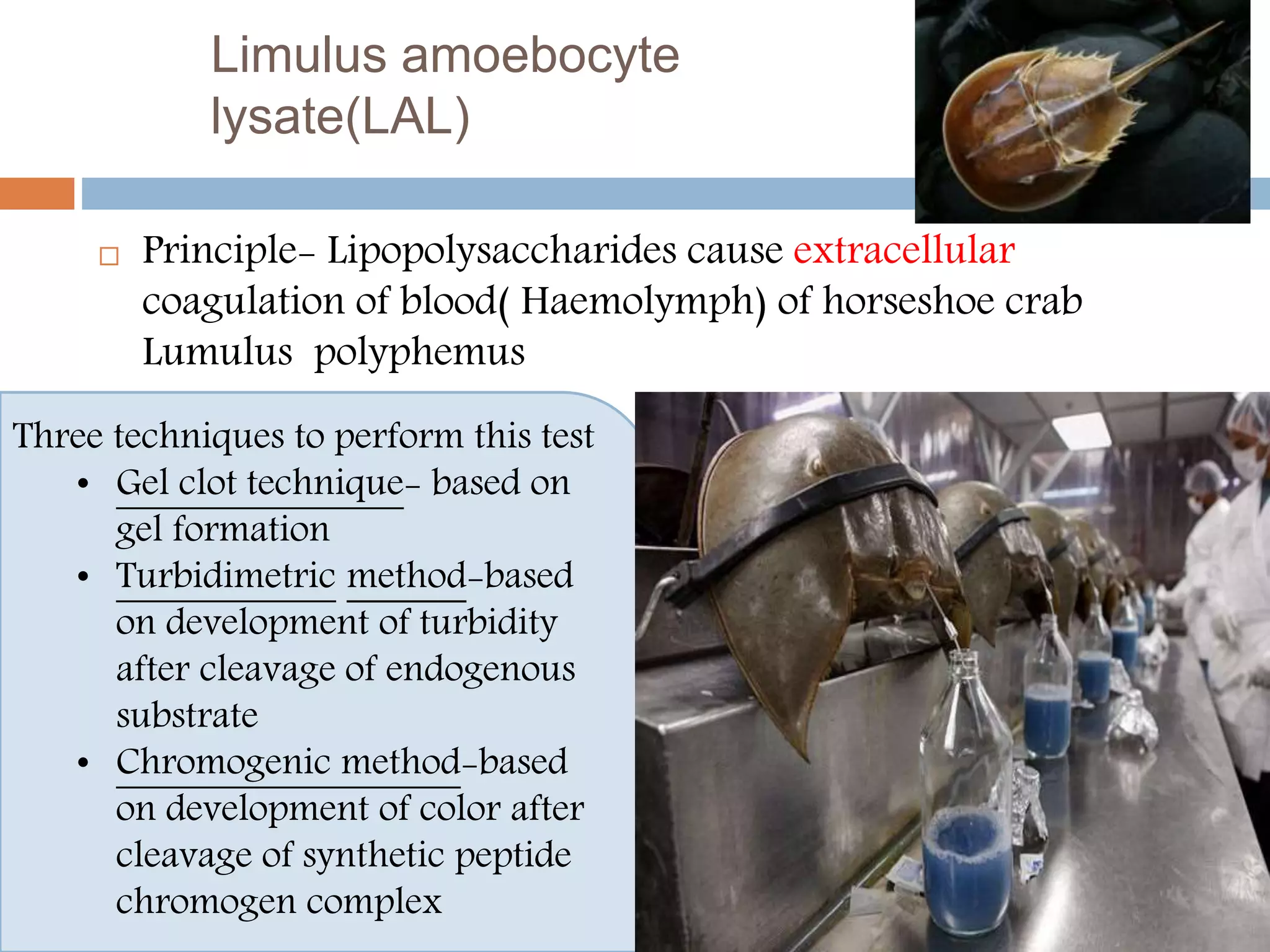 Alternatives to animal experiments | PPTX