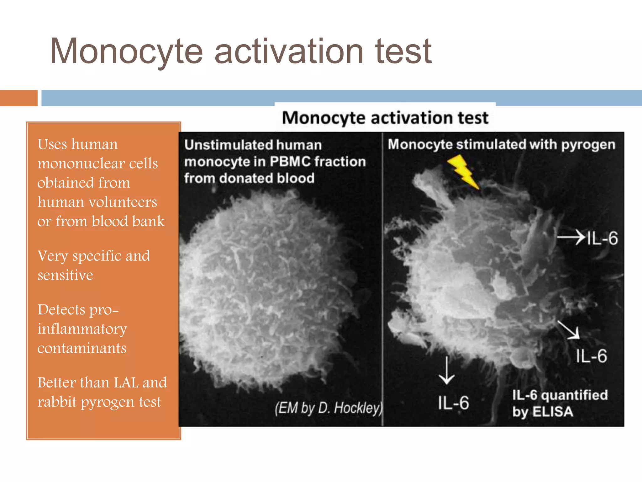 Alternatives to animal experiments | PPTX