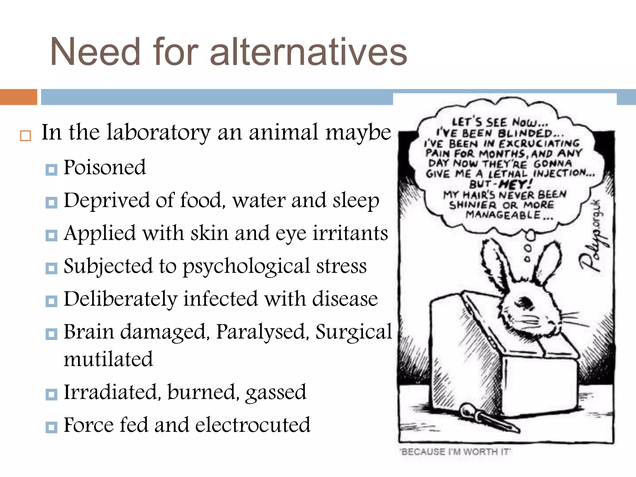 Alternatives to animal experiments | PPTX