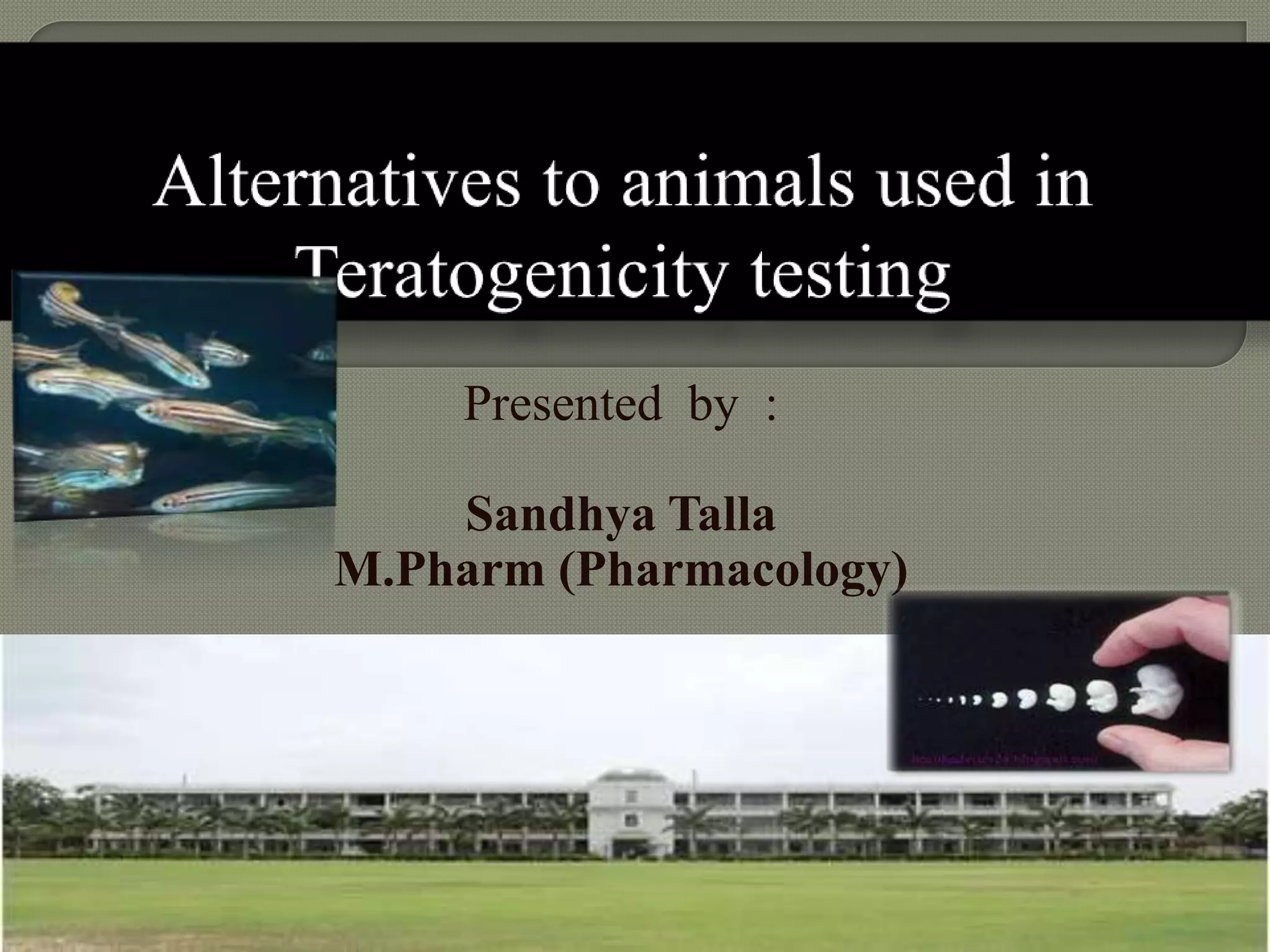 Alternatives to animals in toxicity testing | PPTX