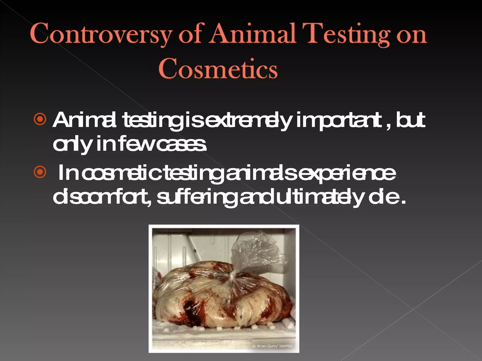 Alternatives To Animal Testing | PPT