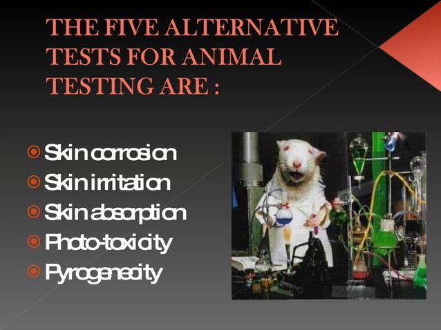 Alternatives To Animal Testing | PPT | Skin and Dermatology | Diseases ...