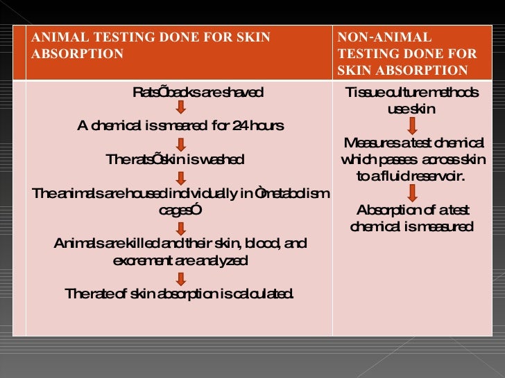 Alternatives To Animal Testing