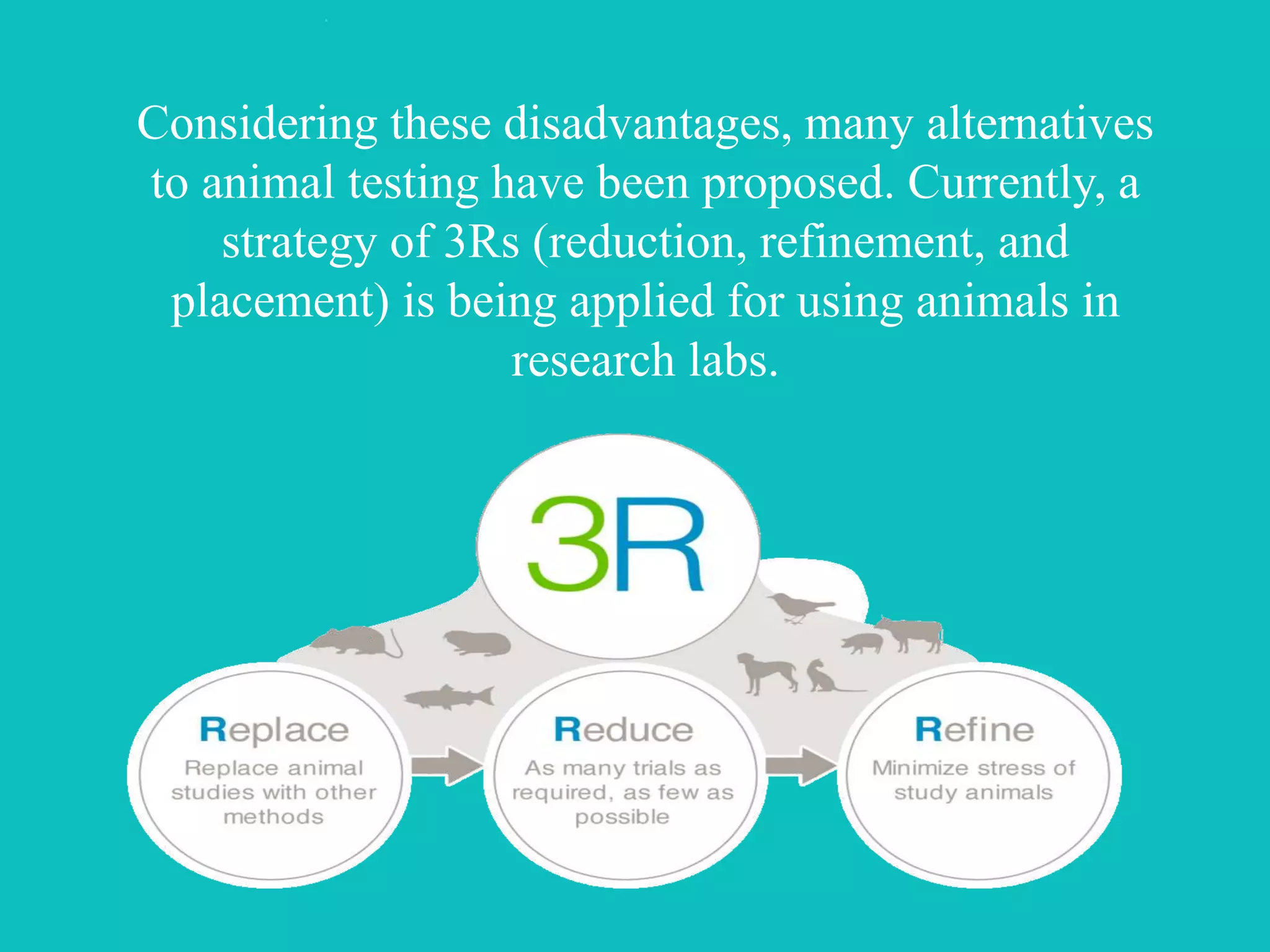 Alternatives to Animal Testing | PPTX