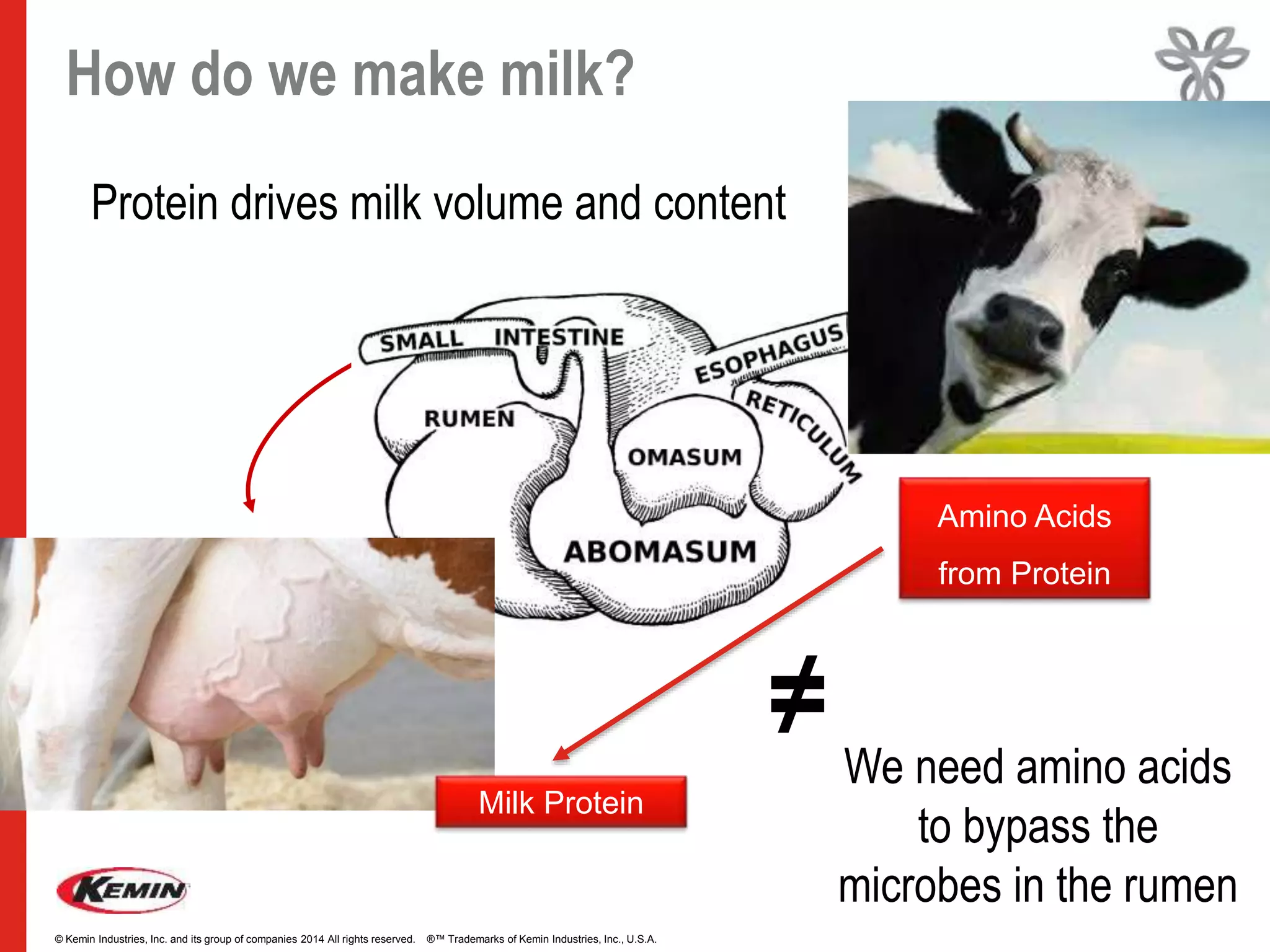 Balancing amino acids in dairy rations | PPT