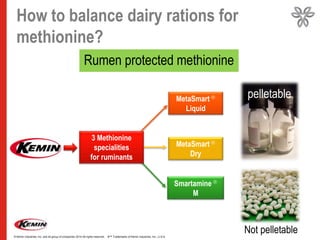 Balancing amino acids in dairy rations | PPTX