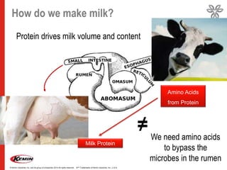 Balancing amino acids in dairy rations | PPT