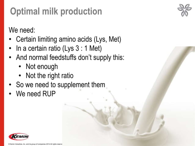 Balancing amino acids in dairy rations | PPT