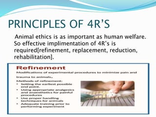 Alternatives to the use of animals in experimentations | PPTX