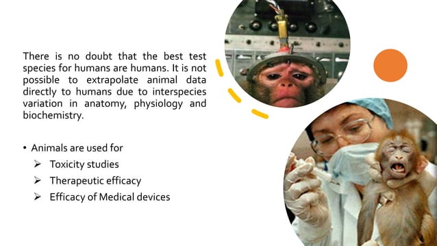 Alternative to Animal Experimentation.pptx