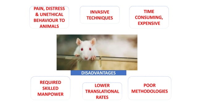 Alternative to Animal Experimentation.pptx