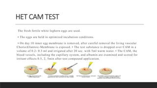 Alternative to animal toxicit testing.pptx | Medical Tests | Medical Health