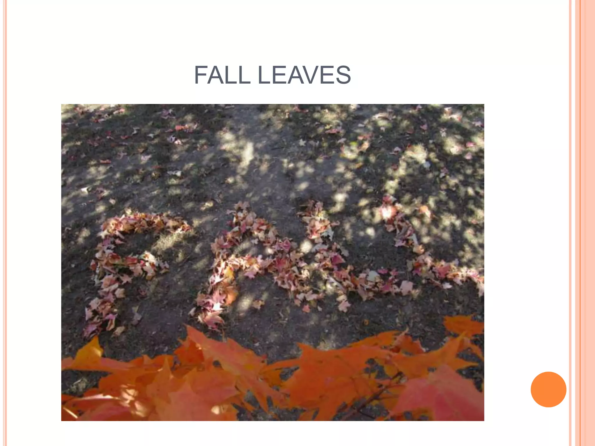 Alternative typography | PPTX | Arts and Crafts | Hobbies & Interests