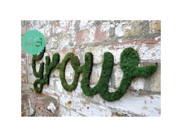 Alternative Typography | PPT