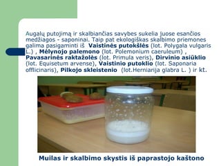 Alternatyvi skalbimo priemonė2 | PPS