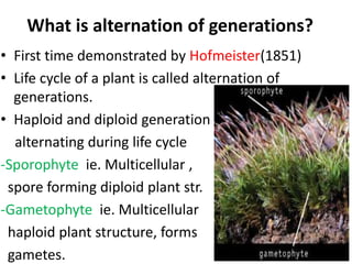 Alternation of generation in archegoniates | PPTX
