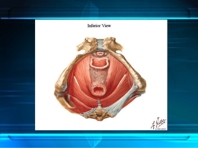 Cistocele/piso pelvico