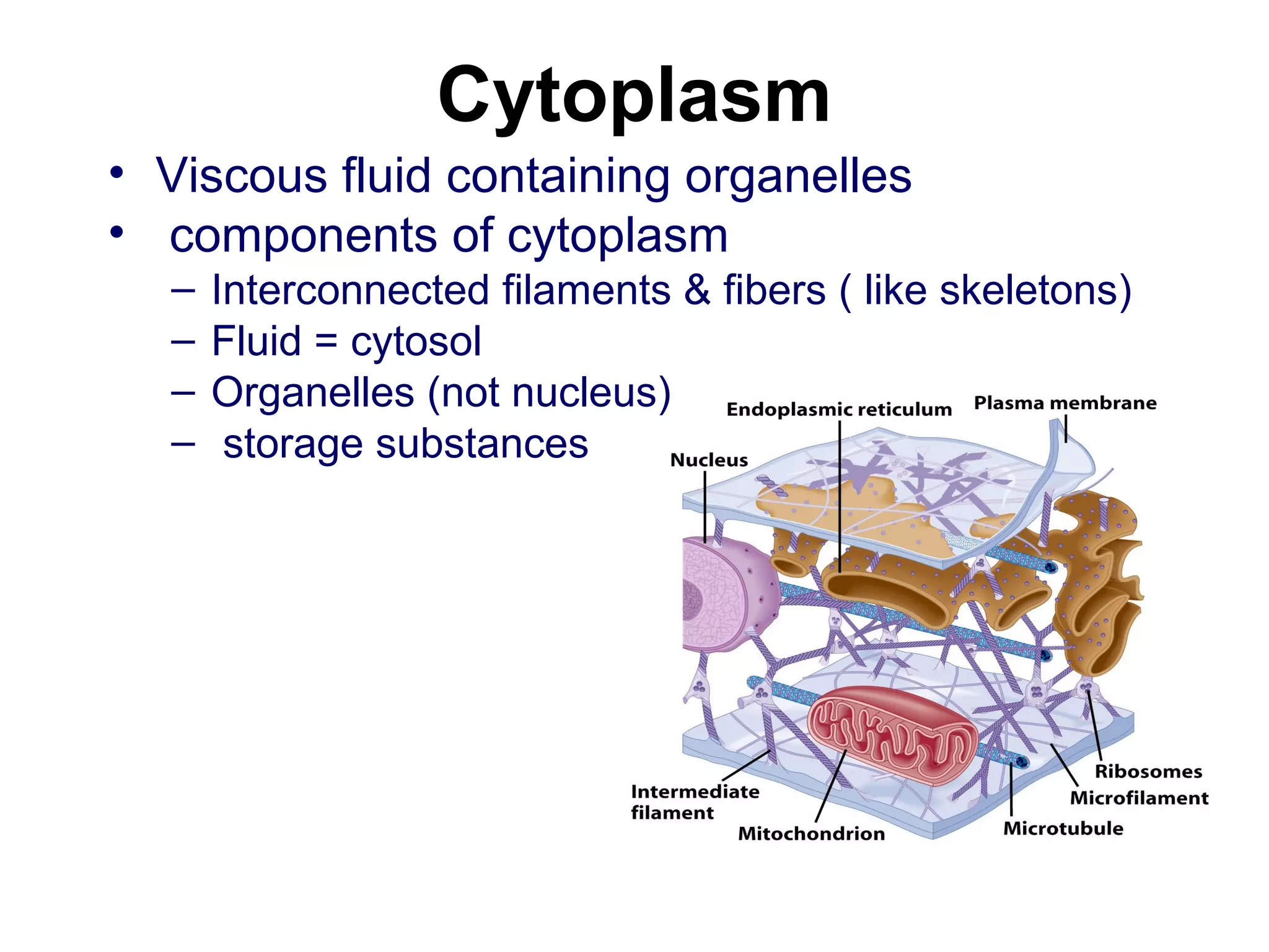 STEM General Biology 1: The Cells | PPT