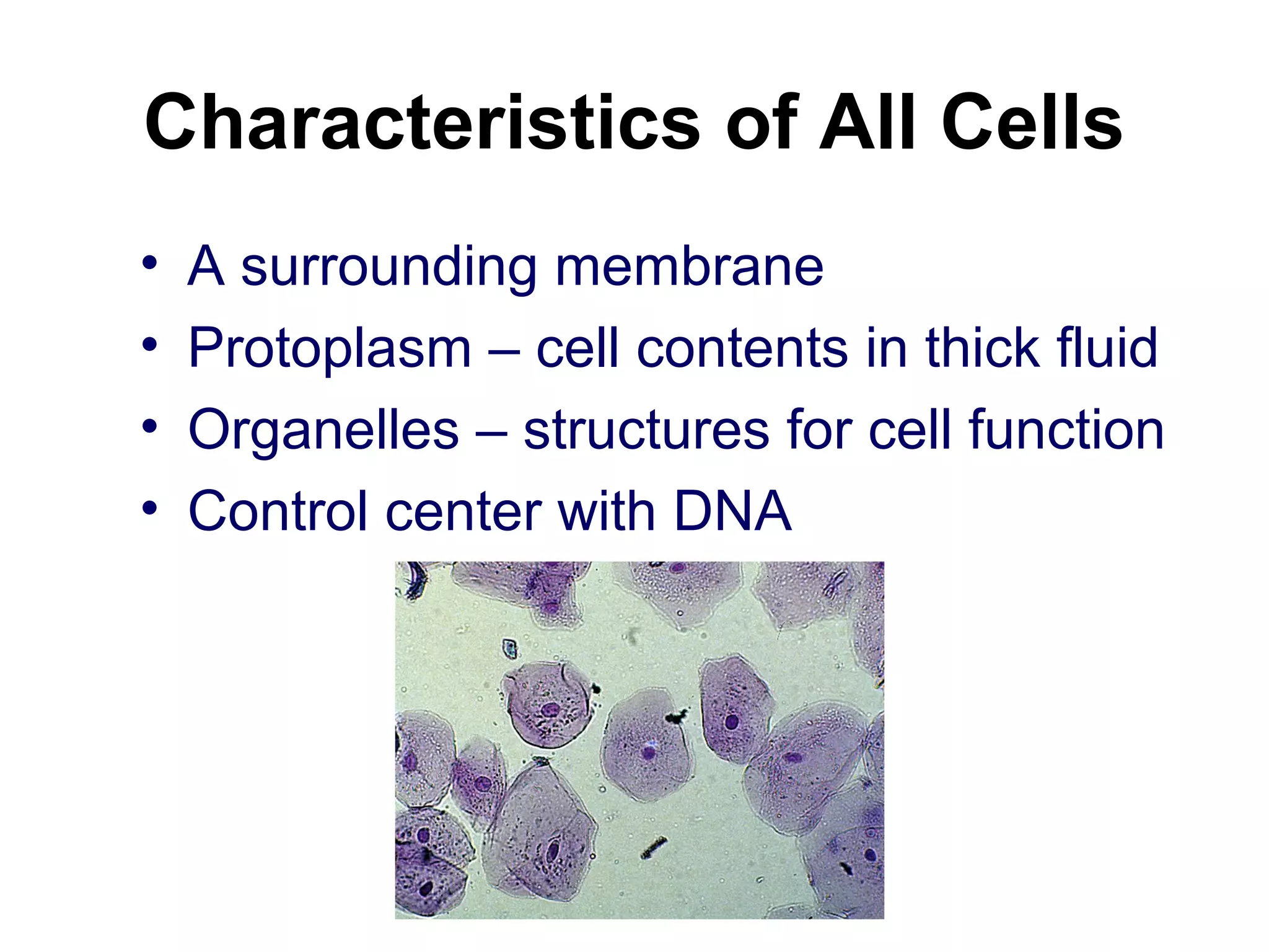 STEM General Biology 1: The Cells | PPT