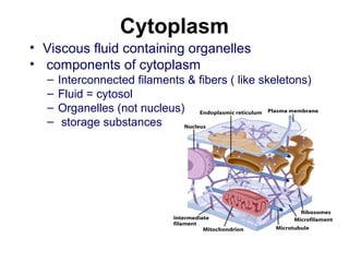 STEM General Biology 1: The Cells | PPT