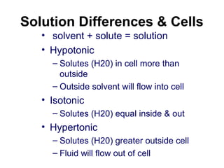STEM General Biology 1: The Cells | PPT