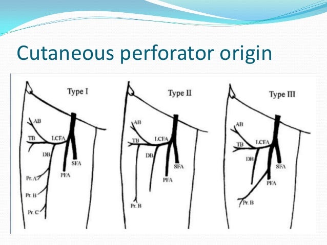 Anterolateral thigh flap
