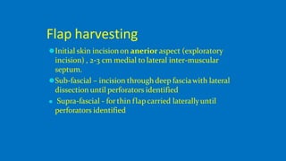 altflap presentation.pptx