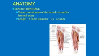 altflap presentation.pptx