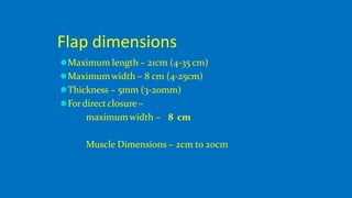 altflap presentation.pptx