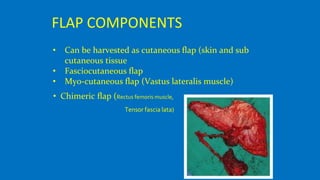 altflap presentation.pptx