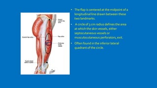 altflap presentation.pptx