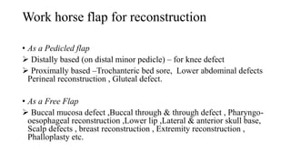 ALT flap presentation.pptx