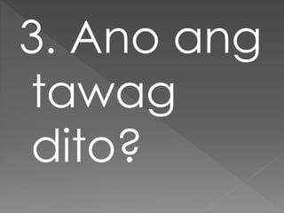 Ang Sangay Tagahukom | PPT