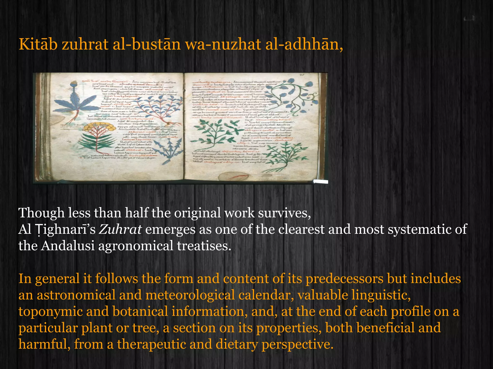 Al Tignari (11th Century Muslim Botanist) | PPT