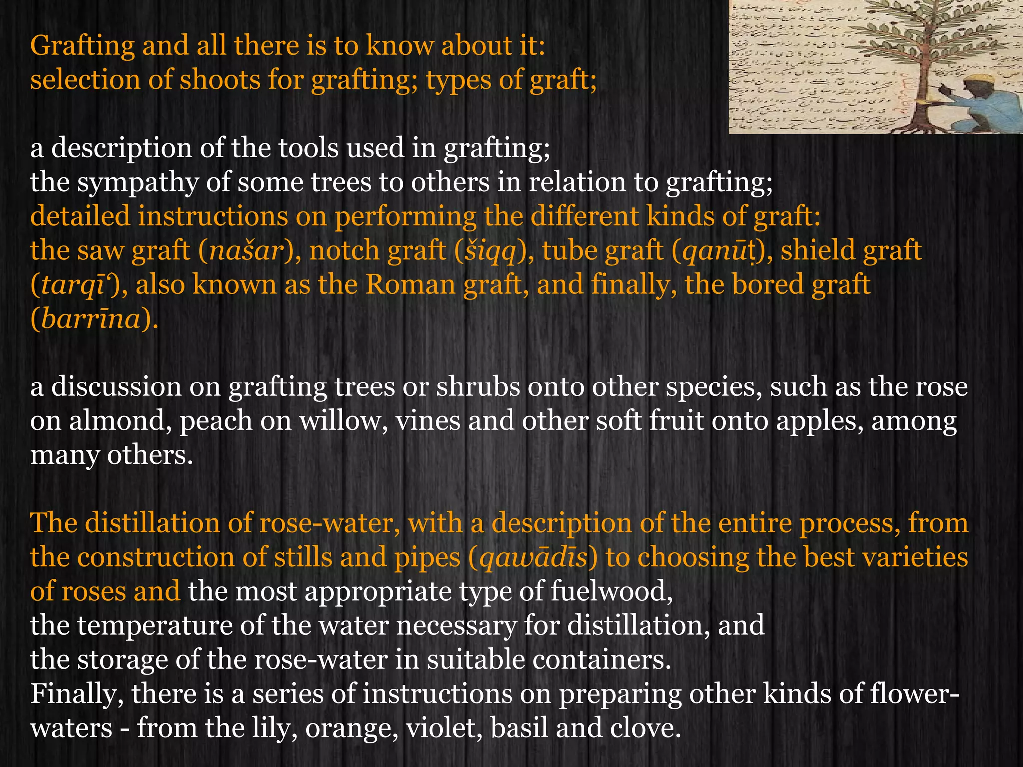 Al Tignari (11th Century Muslim Botanist) | PPT