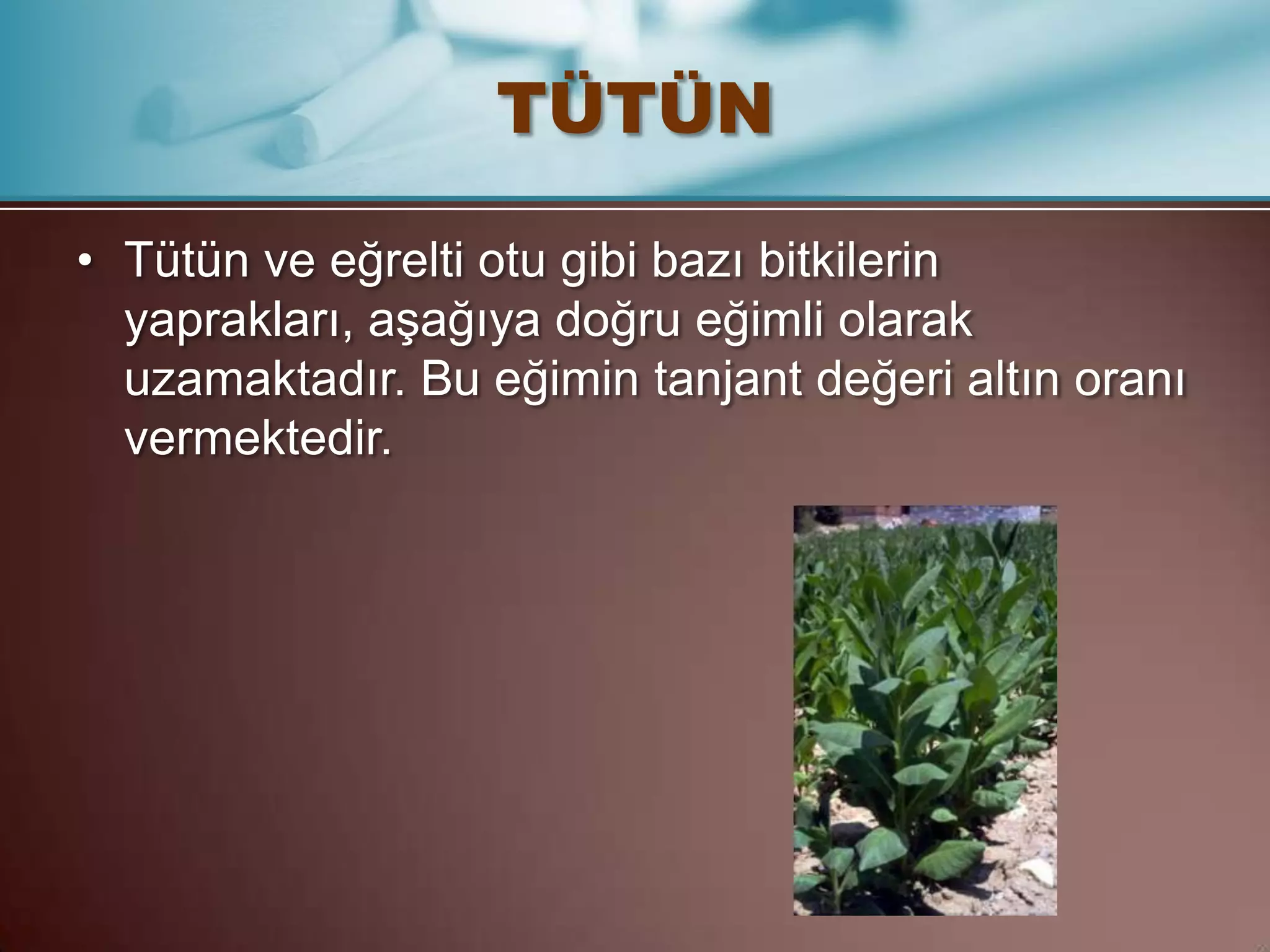 ALTIN ORAN | PPTX