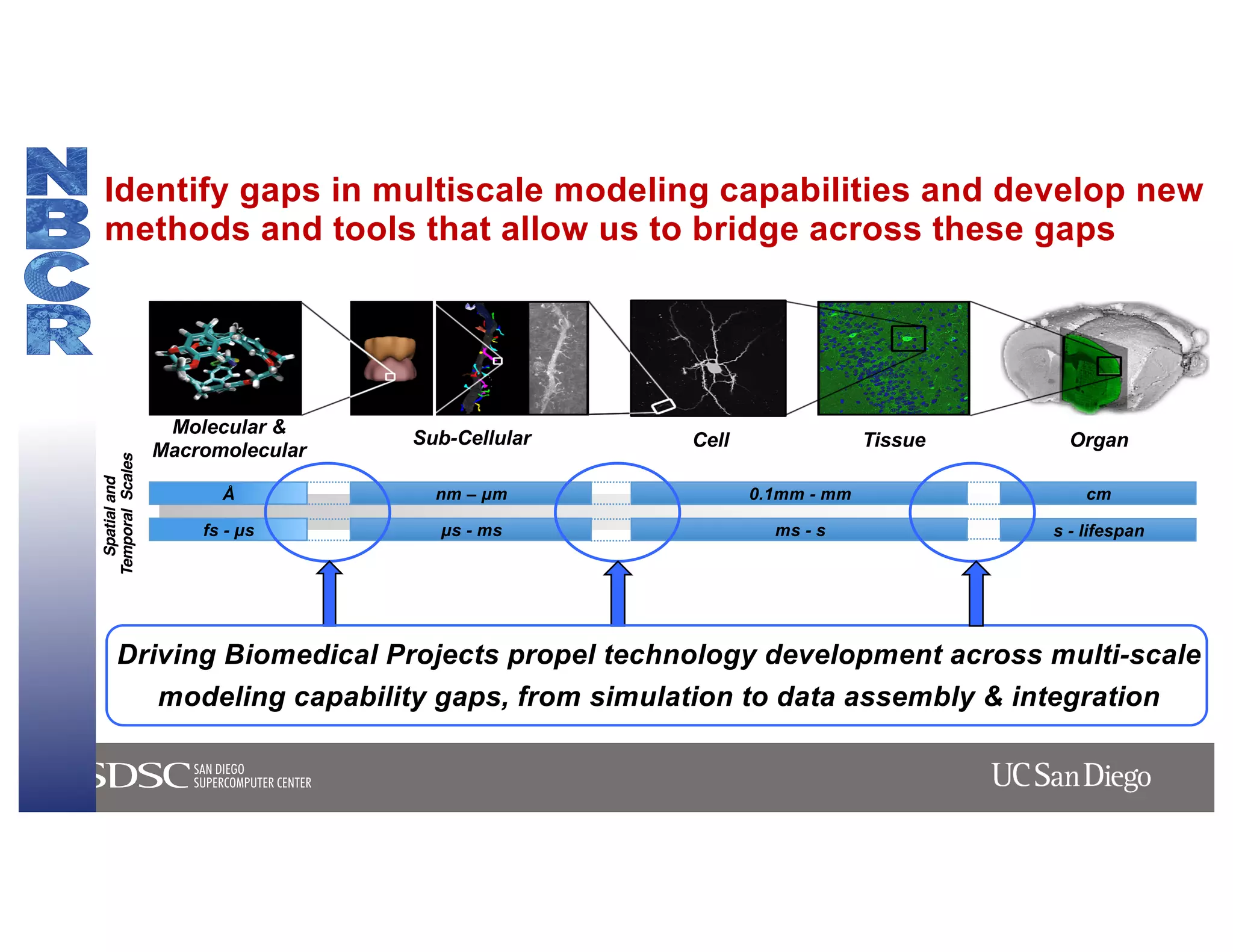 A Workflow-Driven Discovery and Training Ecosystem for Distributed Analysis of Biomedical Big ...