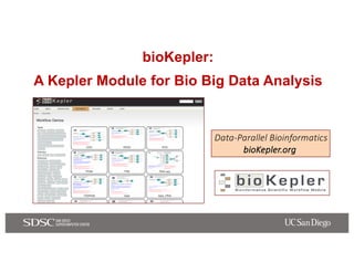 A Workflow-Driven Discovery and Training Ecosystem for Distributed Analysis of Biomedical Big ...