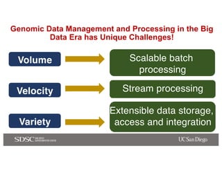 A Workflow-Driven Discovery and Training Ecosystem for Distributed Analysis of Biomedical Big ...