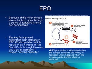 Altitude Training | PPT