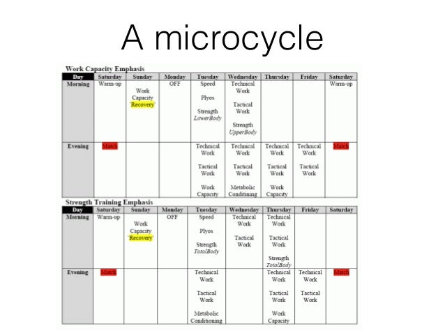 Altitude training and periodisation