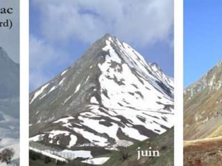 Altitudinal zonation in the Alps.pptx