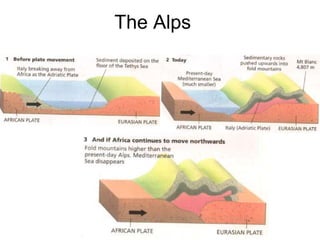 Altitudinal zonation in the Alps.pptx