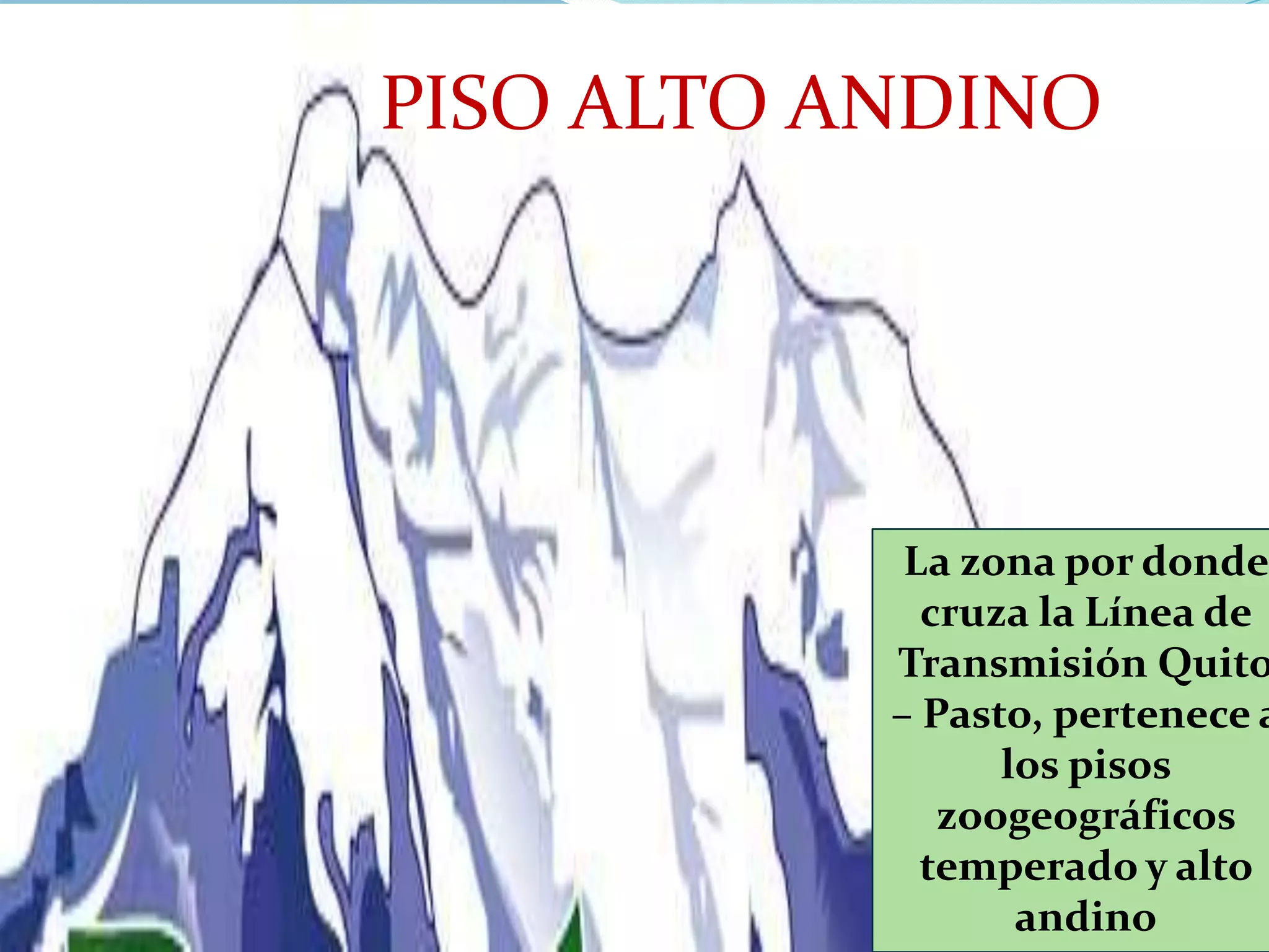 Piso Alto andino del Ecuador | PPTX